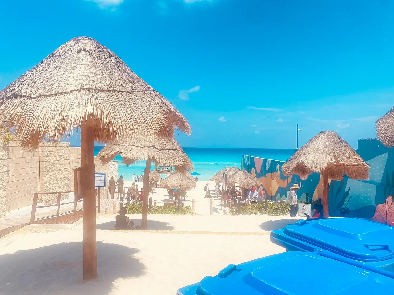 Playa Marlin Cancun 2026 - Hotel Zone Beach